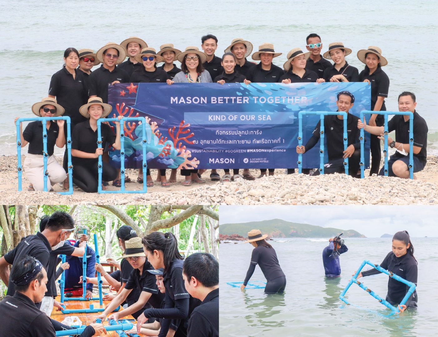 MASON invites staff to seed coral in Koh Kham Underwater Park in KIND ...